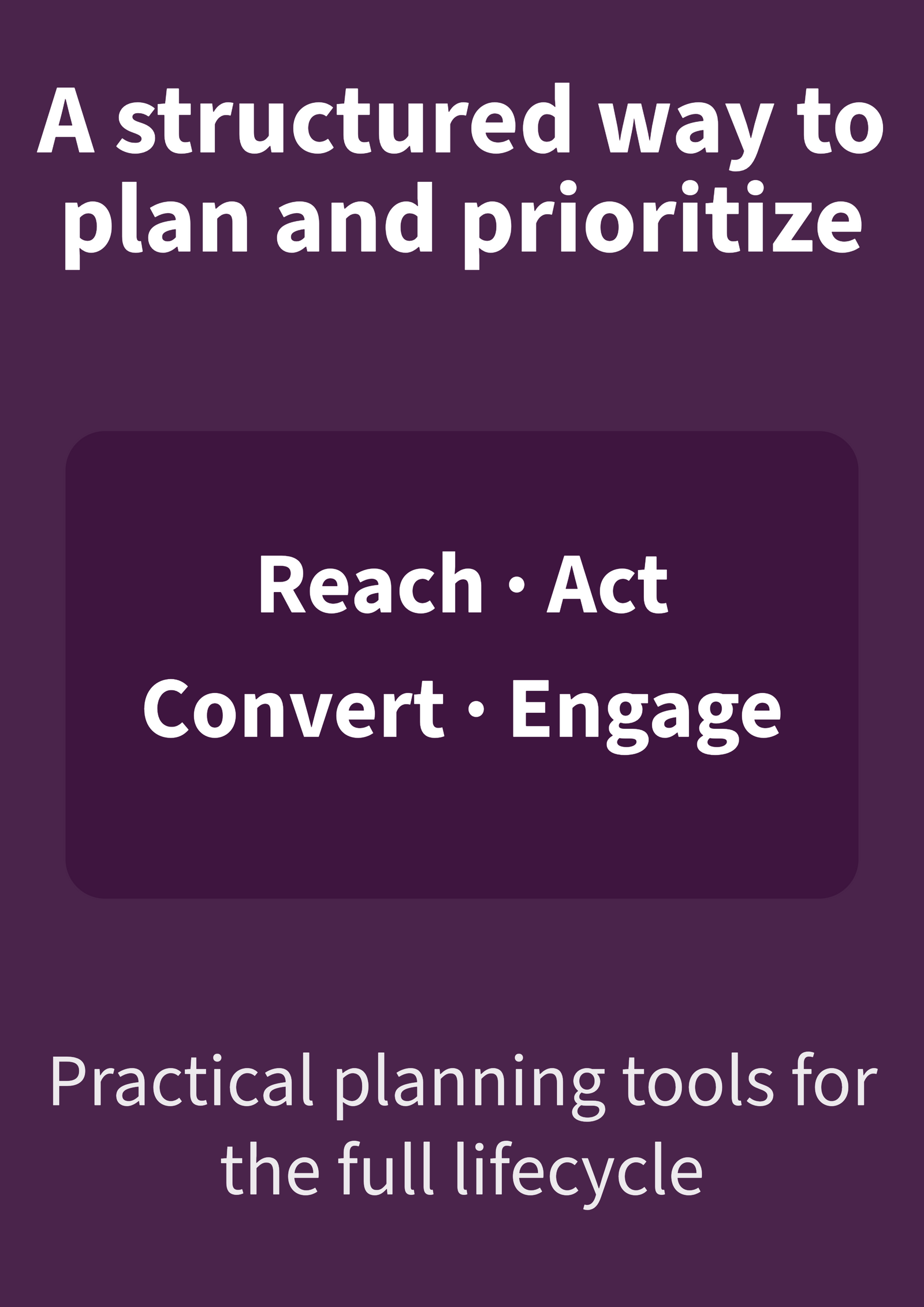 RACE digital strategy toolkit – Smart Insights